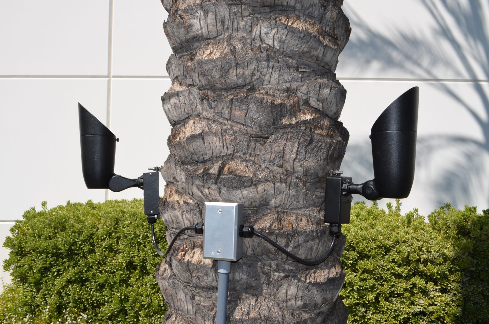 DL20PAR20 - Focus Industries