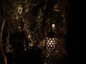 SL15 - Focus Industries